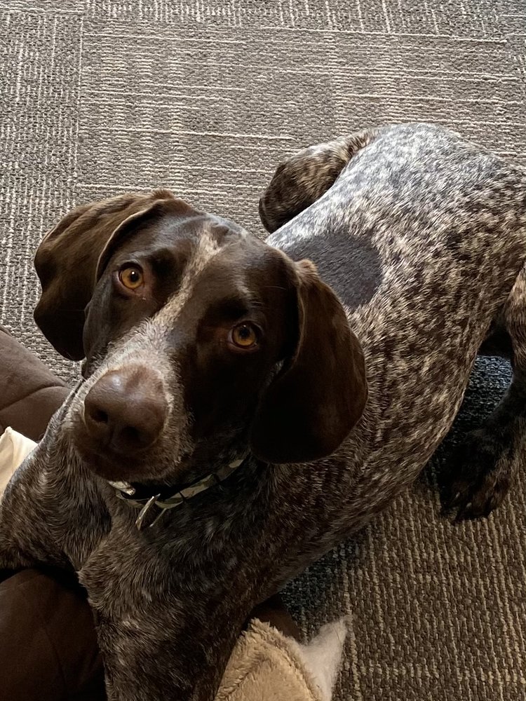 Our Team - Westview Funeral Chapel